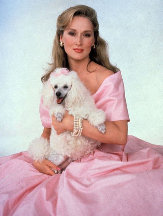 20 Beautiful Photos Of Celebrities With Poodles - PetPress