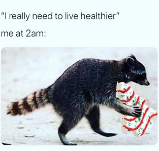 14 Funny Raccoon Memes That Will Make Your Day! - PetPress