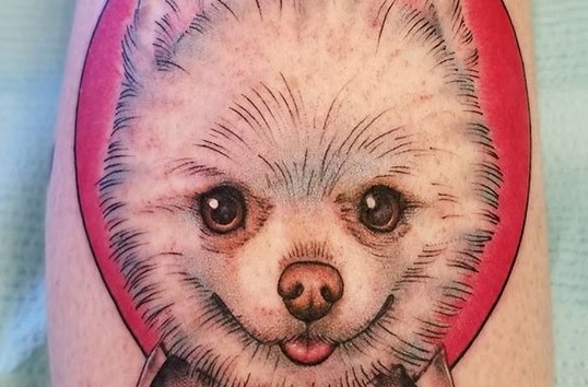 The 14 Funniest Pomeranian Tattoos of 2019 - PetPress