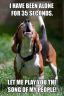 14 Funny Beagle Memes To Make Your Day | Page 2 of 3 | PetPress