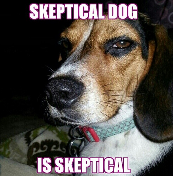 14 Funny Beagle Memes That Will Make You Smile! | Page 2 of 3 | PetPress