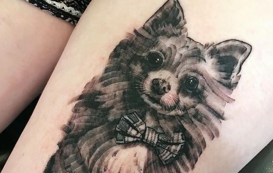 14 Of The Best Pomeranian Tattoo Ideas Ever - PetPress