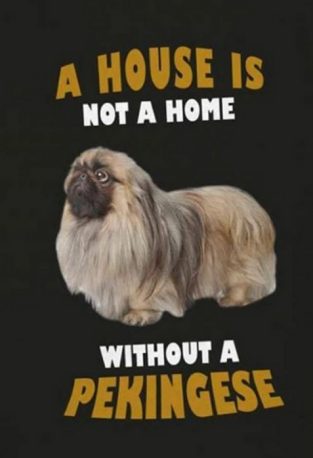 14 Funny Dog Memes That You Must Show to Your Friends Who Own ...