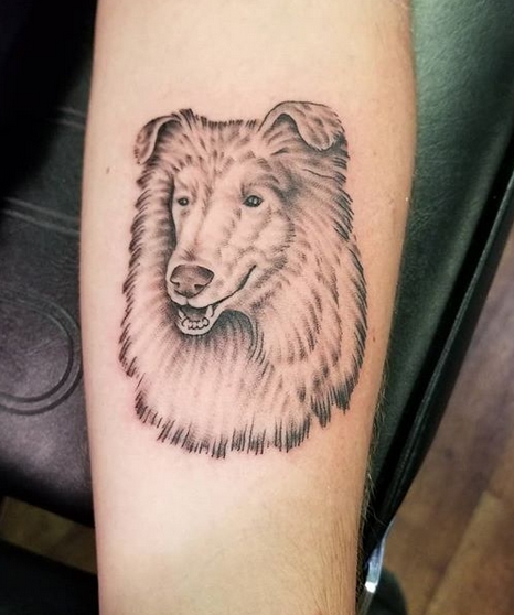 The 16 Coolest Collie Tattoo Designs Ever! - PetPress