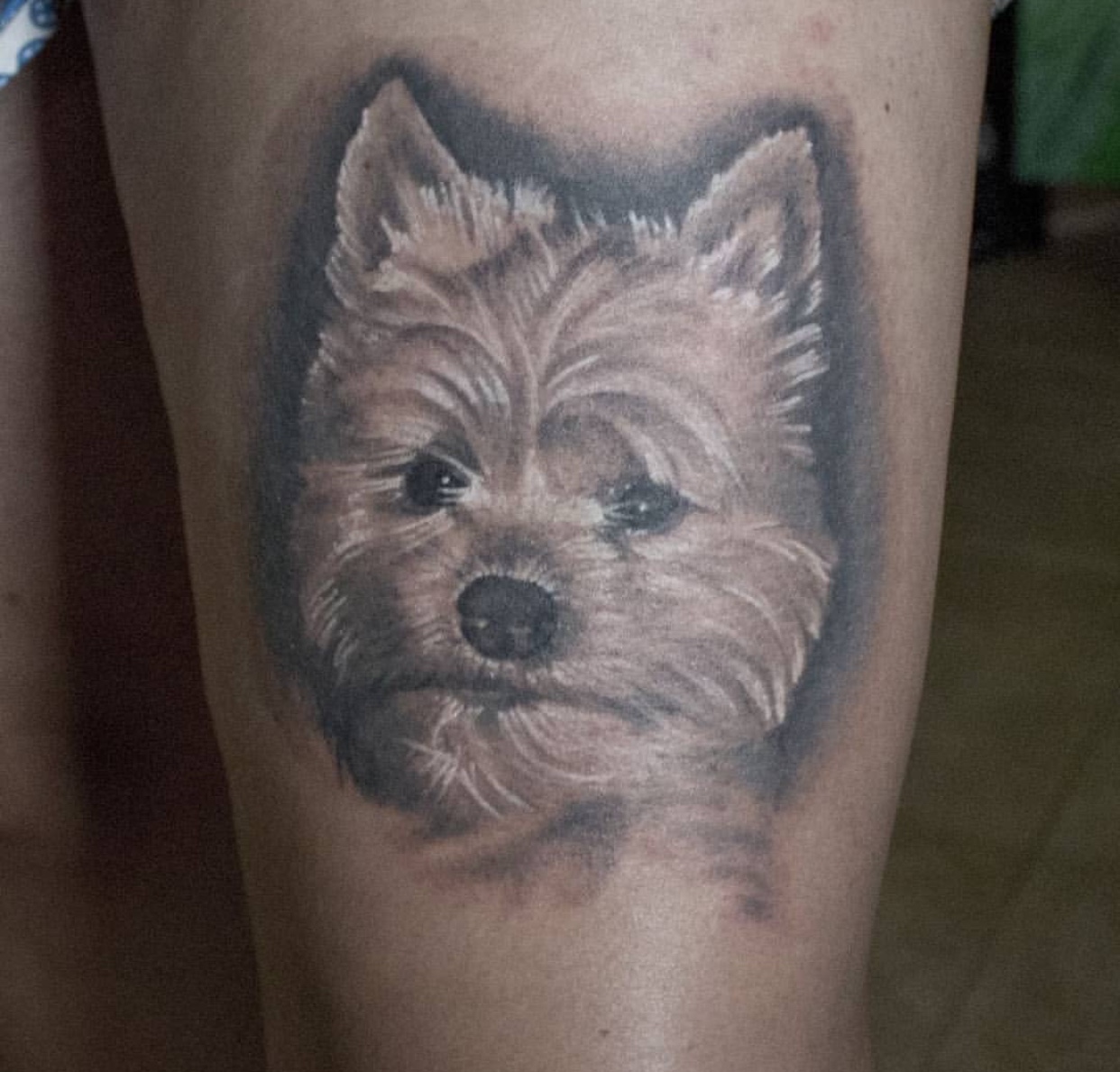 15 Creative Tattoo Ideas For Yorkshire Terriers | PetPress
