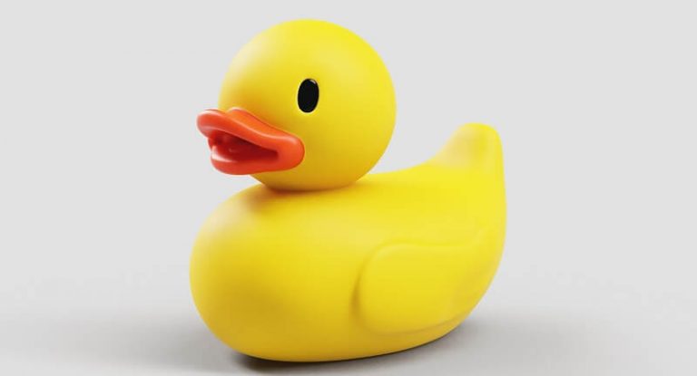 500 Best Duck Names - Famous, Cute & Funny Names for Ducks