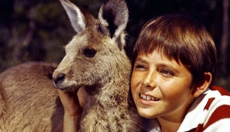Kangaroo Names: 200 Good and Famous Names for Kangaroos
