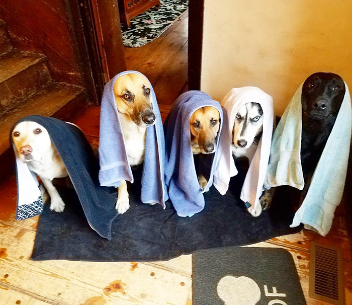 15 Photos That Show What Happens With You And Your House If You Get ...