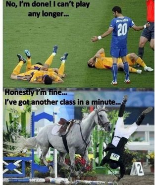 14 Funny Horse Memes That Will Make You Smile! | PetPress