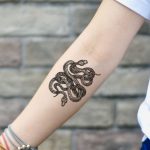20 of the Best Two-Headed Snake Tattoos Ever | PetPress