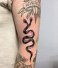 20 of the Best Two-Headed Snake Tattoos Ever - PetPress