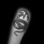 20 of the Best Two-Headed Snake Tattoos Ever - PetPress