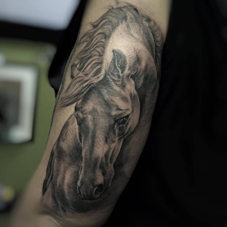 19 Horse Head Tattoo Designs For Men & Women