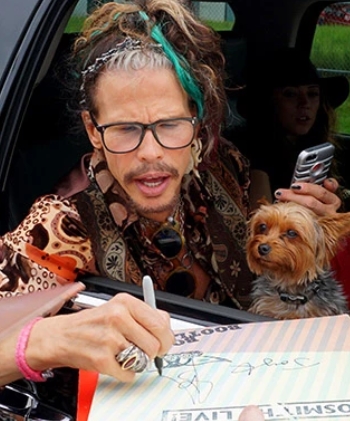 48 Popular Rock and Roll Inspired Dog Names - PetPress