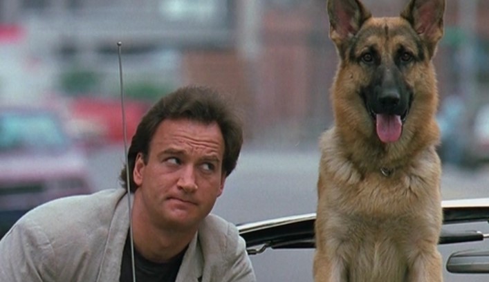 Top 30 Popular German Shepherd Dog Names from Movies and TV Shows ...