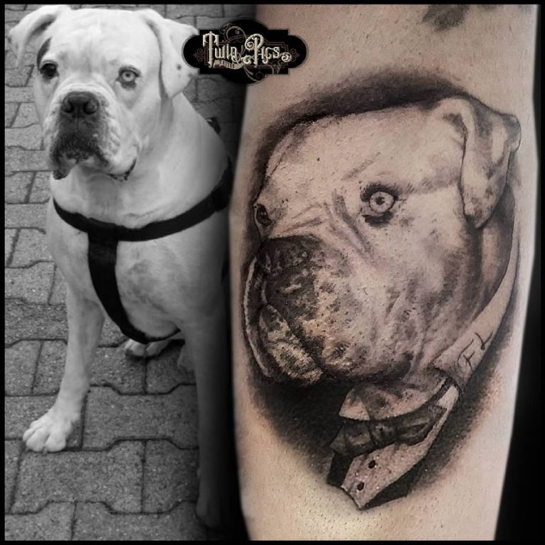 28 Best Boxer Dog Tattoo Designs | PetPress