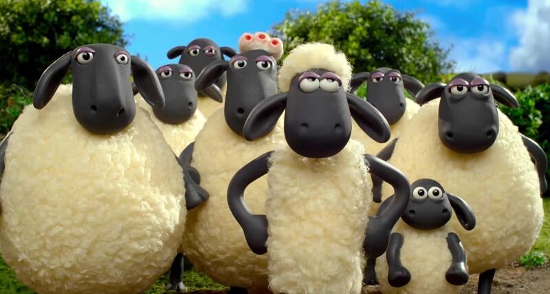 Sheep Names: 300 Most Famous and Cute Names For Sheep