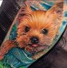 15 Of The Best Yorkshire Terrier Tattoo Ideas Ever - PetPress