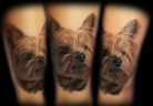 15 Of The Best Yorkshire Terrier Tattoo Ideas Ever - PetPress