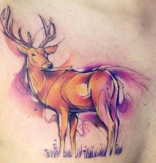35+ Best Stag Tattoo Designs, Ideas, and Meanings