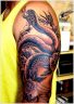 15+ Best Snake Half Sleeve Tattoo Designs - PetPress