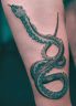 20 Green Snake Tattoo Ideas - PetPress