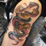 14 Snake and Tiger Tattoo Designs - PetPress