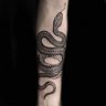 Top 15+ Coiled Snake Tattoo Ideas - PetPress