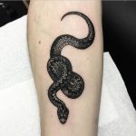 Top 15+ Coiled Snake Tattoo Ideas - PetPress