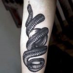 Top 15+ Coiled Snake Tattoo Ideas - PetPress