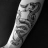 15+ Snake & Apple Tattoo Designs That Could Inspire You