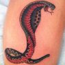 20 Neo Traditional Snake Tattoo Designs - PetPress