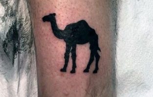 19 Best Camel Tattoo Ideas & Designs - PetPress