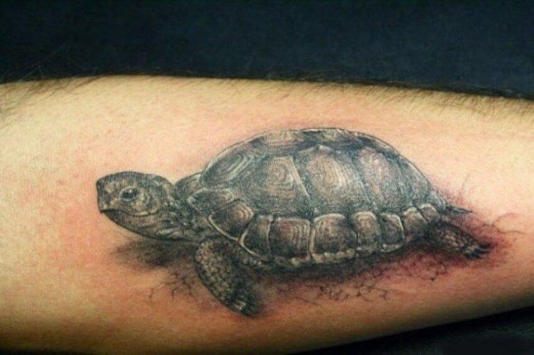 80+ Realistic Sea Turtle Tattoo Designs, Ideas & Meanings