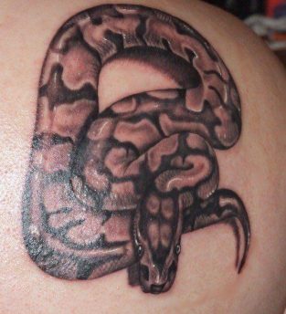 16 Best Python Tattoo Design Ideas - PetPress