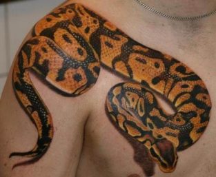 16 Best Python Tattoo Design Ideas - PetPress