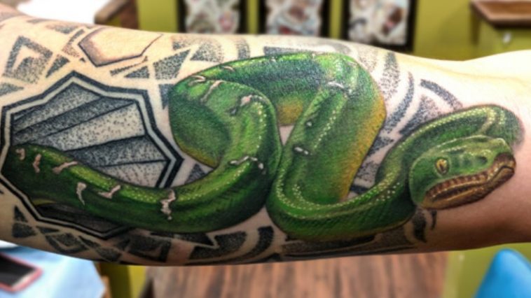 33 Coolest Python Tattoo Designs | PetPress