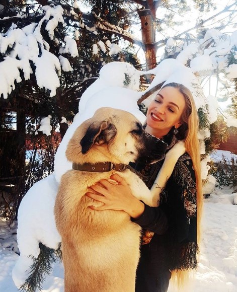 Top 10 Tallest Dog Breeds In The World - PetPress