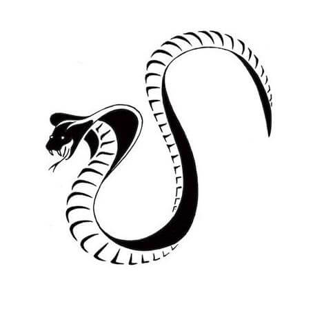 23 Tribal Snake Tattoo Designs And Meanings | PetPress