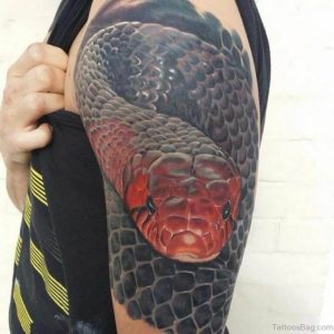 23 Snake Tattoos For Shoulder And Meanings - PetPress