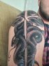 10+ Best Black Mamba Snake Tattoo Designs & Meanings - PetPress