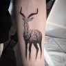 23 Best Stag Head Tattoo Designs and Ideas | PetPress