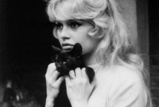 14 Best Photos Of The Famous Celebrities And Their Cats