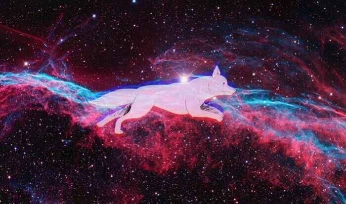 150 Star Inspired Dog Names - PetPress