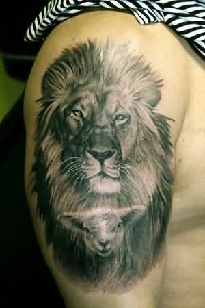 12+ Best Lion and Lamb Tattoo Designs | PetPress