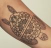 10+ Aztec Turtle Tattoo Designs - PetPress