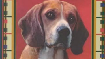 14 Funny Beagle Facts To Make You Smile | PetPress