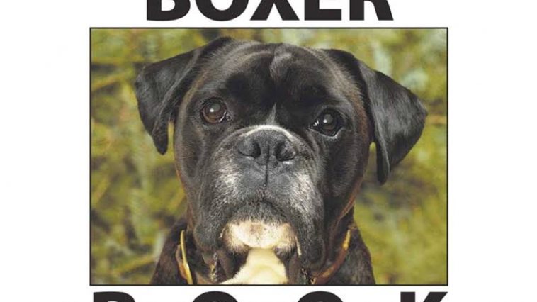 14 Surprising Facts About Boxer Dogs And Why We Love Them - PetPress