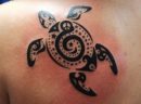 10+ Celtic Turtle Tattoo Ideas | PetPress