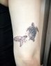 25+ Minimalist Turtle Tattoo Designs That Will Inspire You To Get Inked ...